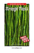 Strange Plants – Funabc趣乐多英语